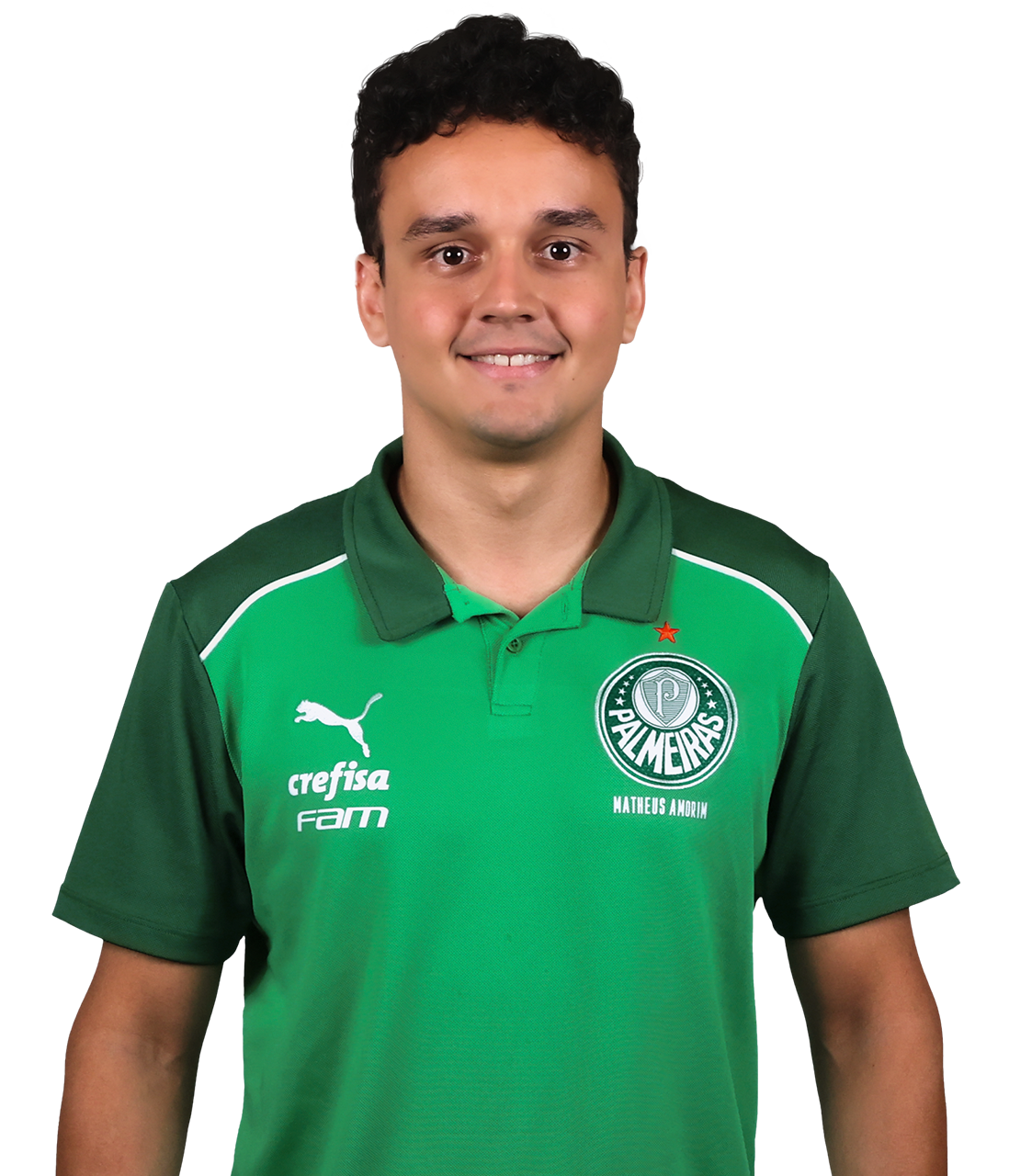 Analistas – Palmeiras