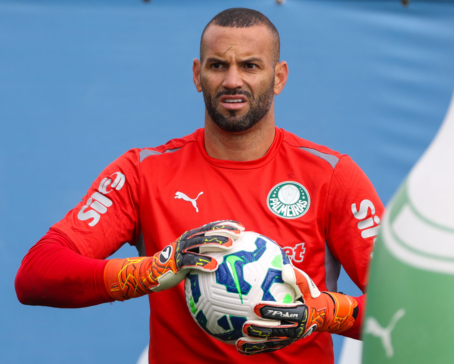 Weverton comenta recorde na Libertadores e Fuchs trabalha em campo ...
